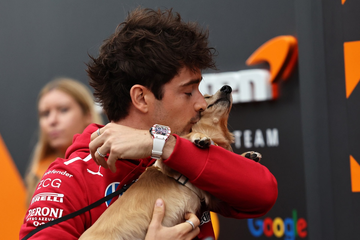 Hungarian GP - Sunday, in photos Formula 1