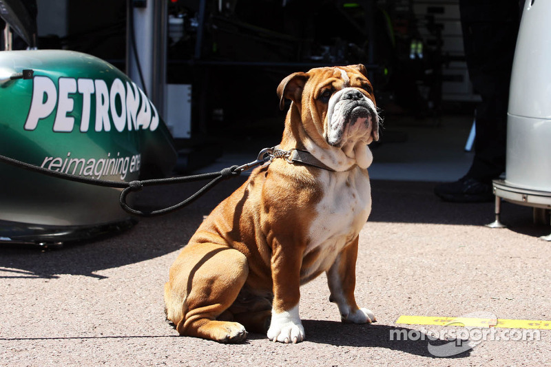 Hamilton, Lauda slam 'Roscoe' critics